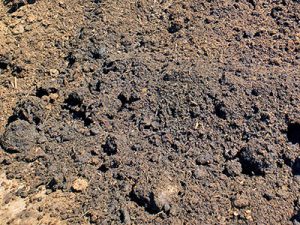 Topsoil – 20 yard tri-axle load | Stone Depot